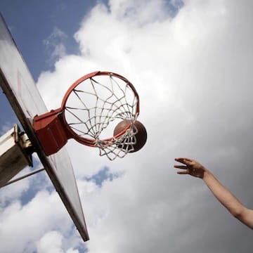 answer some questions and get a meme based on my pets - Quiz | Quotev