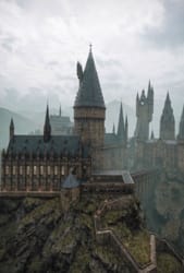 Harry Potter boyfriend - Quiz | Quotev