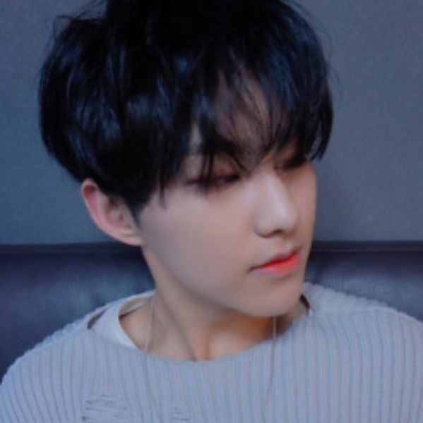 How well do you know seventeen? - Test
