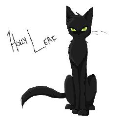 What does Hollyleaf think of you? - Test | Quotev