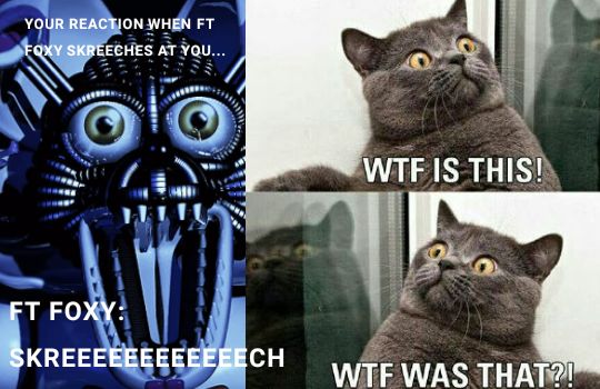 Fnaf Cat Memes Springtrap Memes Five Nights At Freddys Amino 2238