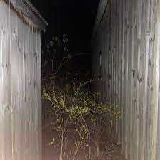 Pick Some Liminal Spaces and Get A Creature - Quiz | Quotev