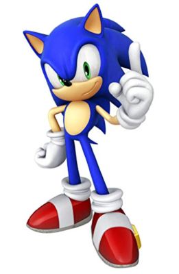 Sonic Writing Prompts - Survey | Quotev