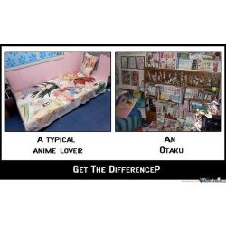 Are you a typical anime otaku or not? - Test | Quotev