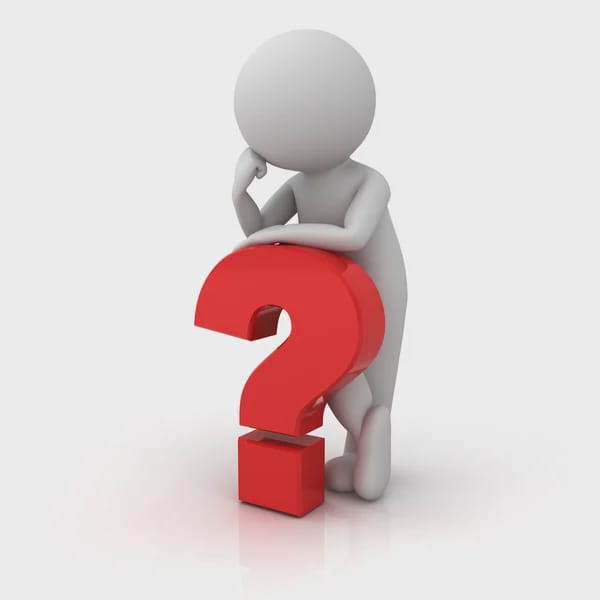 What should I do next? - Survey | Quotev