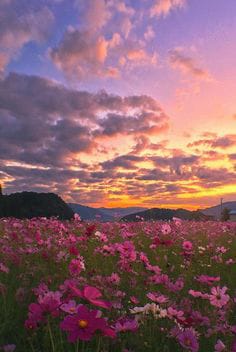 Story time Fs | Quotev