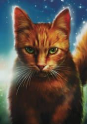 What The New Prophecy Cat are you? - Quiz | Quotev