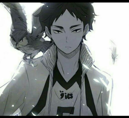 Who do you choose ? (Haikyuu setter) - Quiz | Quotev