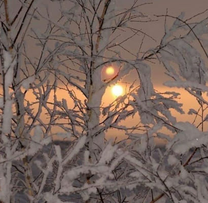 Are You More Like Augustine Or Winnie? - Cold Front - Quiz | Quotev