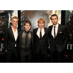 Harry potter crew life..Again! - Quiz | Quotev