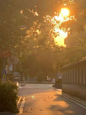 create your perfect school day · - Quiz | Quotev