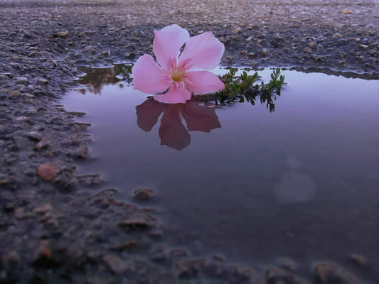 TOH door game - your life - Quiz | Quotev