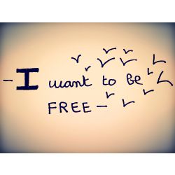 Fiction Stories | Quotev