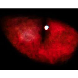 Which Post-Apocalyptic Mage are you? - Quiz | Quotev