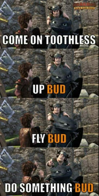 Httyd Quiz - Quiz | Quotev