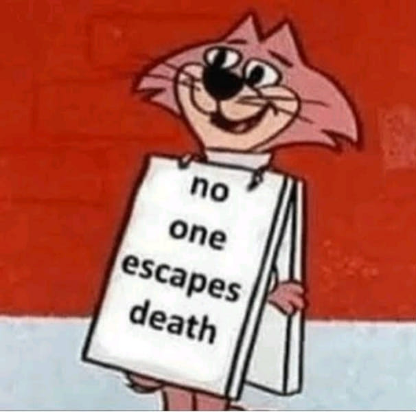 Choose between memes and get a meme ( ･_･`) - Quiz | Quotev