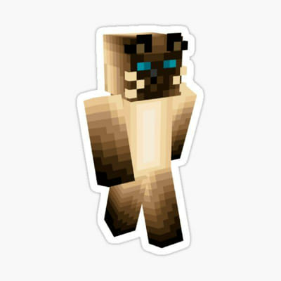 Guess the DSMP character - Test | Quotev
