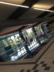 SHOULD I DO A FACE REVEAL? - Poll | Quotev