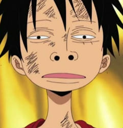 One Piece random funny images cuz why not - Quiz | Quotev