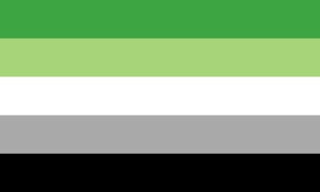 Guess the Aro-Spec Flag - Test | Quotev