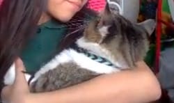 Published | AnonymousDarkFigure | Quotev