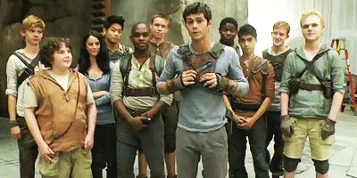 What Job Would You Have In The Maze Runner? - Quiz | Quotev