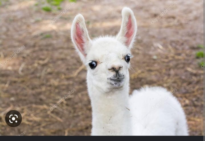 Published | Shannon | Quotev