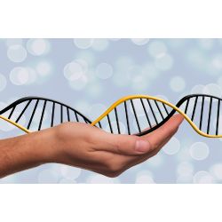 Which Field of Science Best Fits Your Personality? - Quiz | Quotev