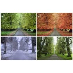 What season are you? - Quiz | Quotev