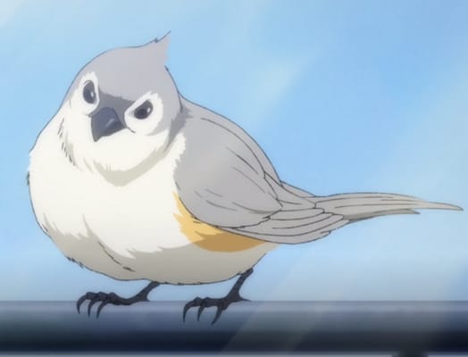 Which MHA girl is your best friend? - Quiz