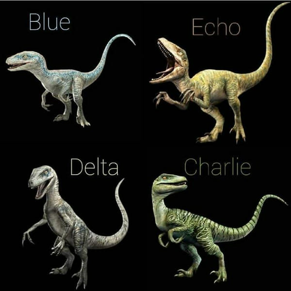 What JW raptor are you? - Quiz | Quotev