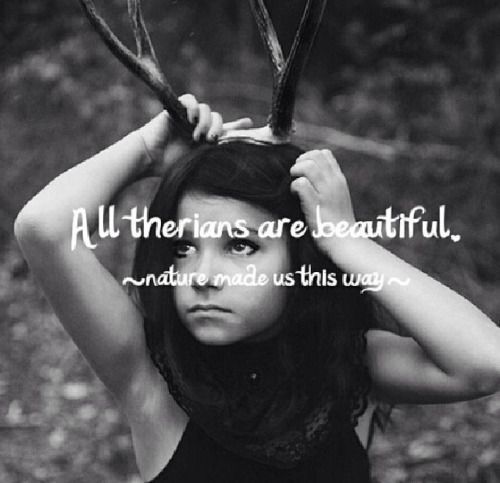 music video games and food are life | Quotev