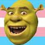 trans shrek says free palestine | Quotev