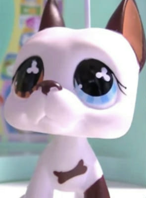 Which LPS are you? - Quiz | Quotev