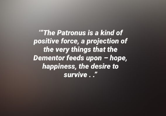 Harry Potter quotes for extreme potterheads - Test | Quotev