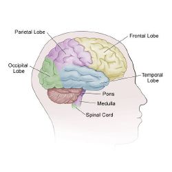 How High are Your Intellectual Interests? (+Song Recommendations ...