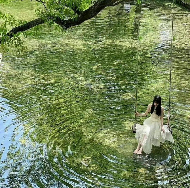 willow. refollow. fs | Quotev