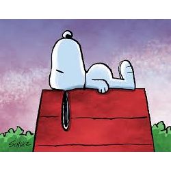 Which Peanuts Character Are You? - Quiz | Quotev