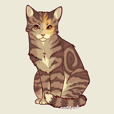 How well do you know Leafpool? - Test | Quotev