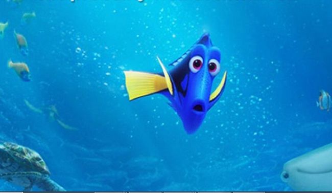 How Well do you know the Movie FINDING DORY - Test | Quotev