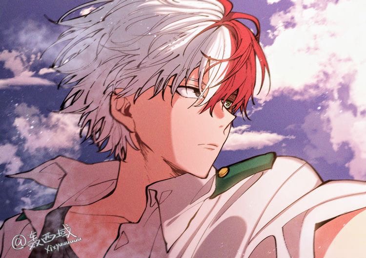 Shoto Todoroki | Quotev