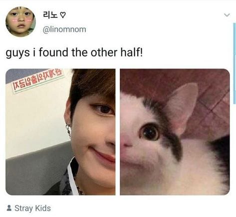 spill the tea + i'll guess your skz bias ;) - Quiz | Quotev