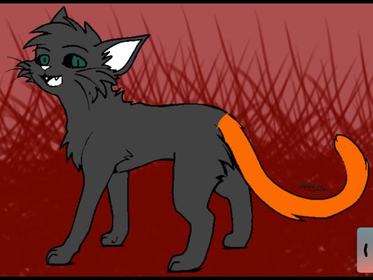 Redtail Warrior Cats