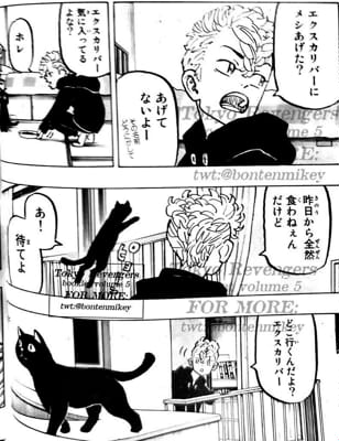 What Peke J thinks of you? - Quiz | Quotev