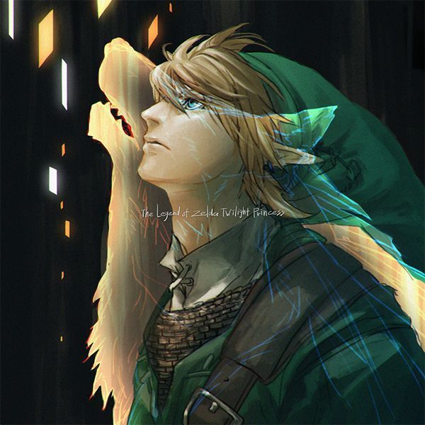 Can you Name all the Twilight Princess Characters? - Test