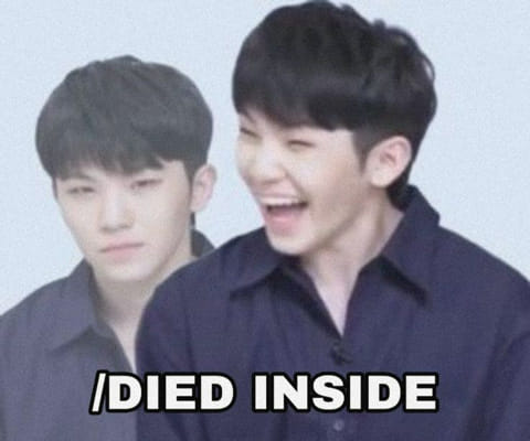 Just some Kpop memes - Survey | Quotev