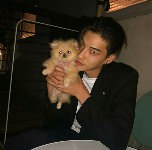 milo check tag | Quotev