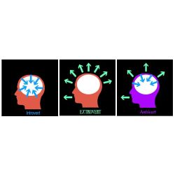 Are you an Introvert, an Extrovert, or an Ambivert? - Quiz | Quotev