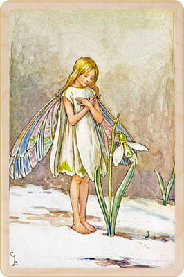 What type of fairy are you? ᵕ̈ - Quiz | Quotev