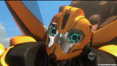 Tfp Bumblebee